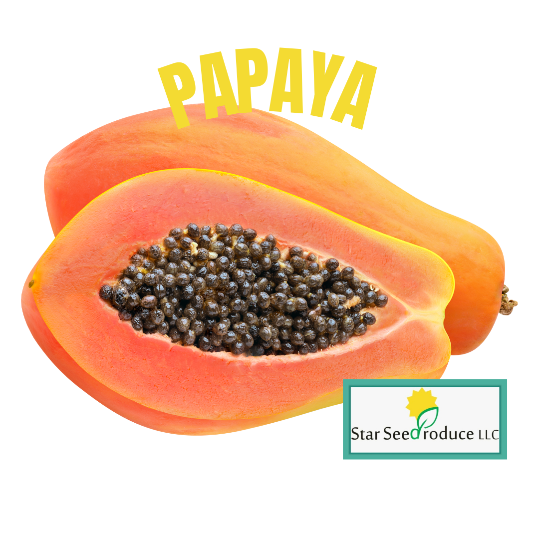Papaya – Starseed Store