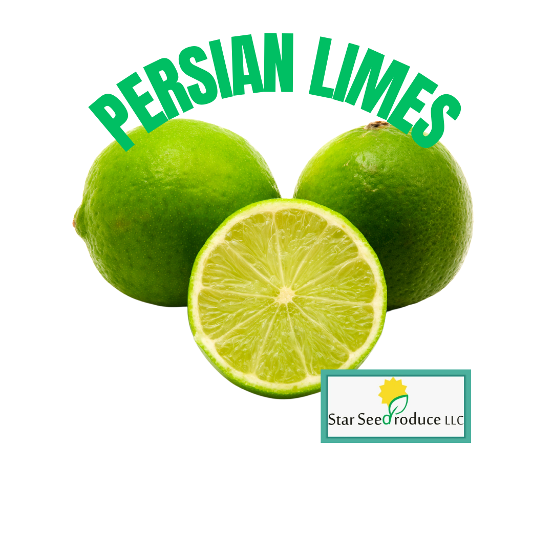 Persian Limes – Starseed Store