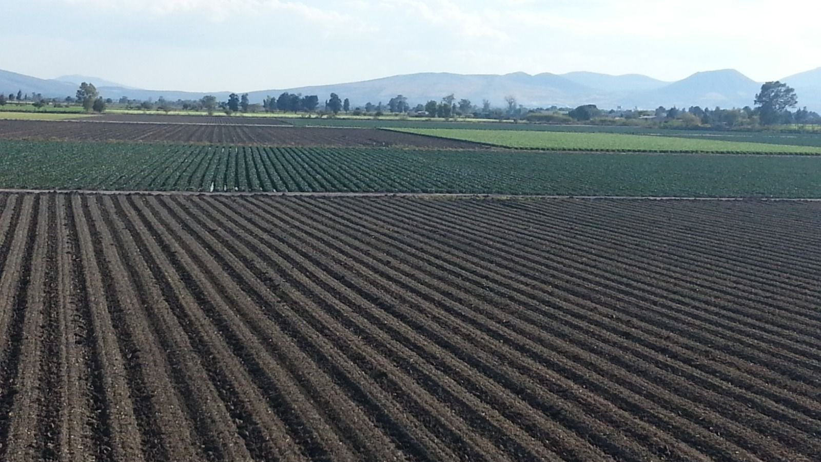 Starseed Produce Store – Starseed Store